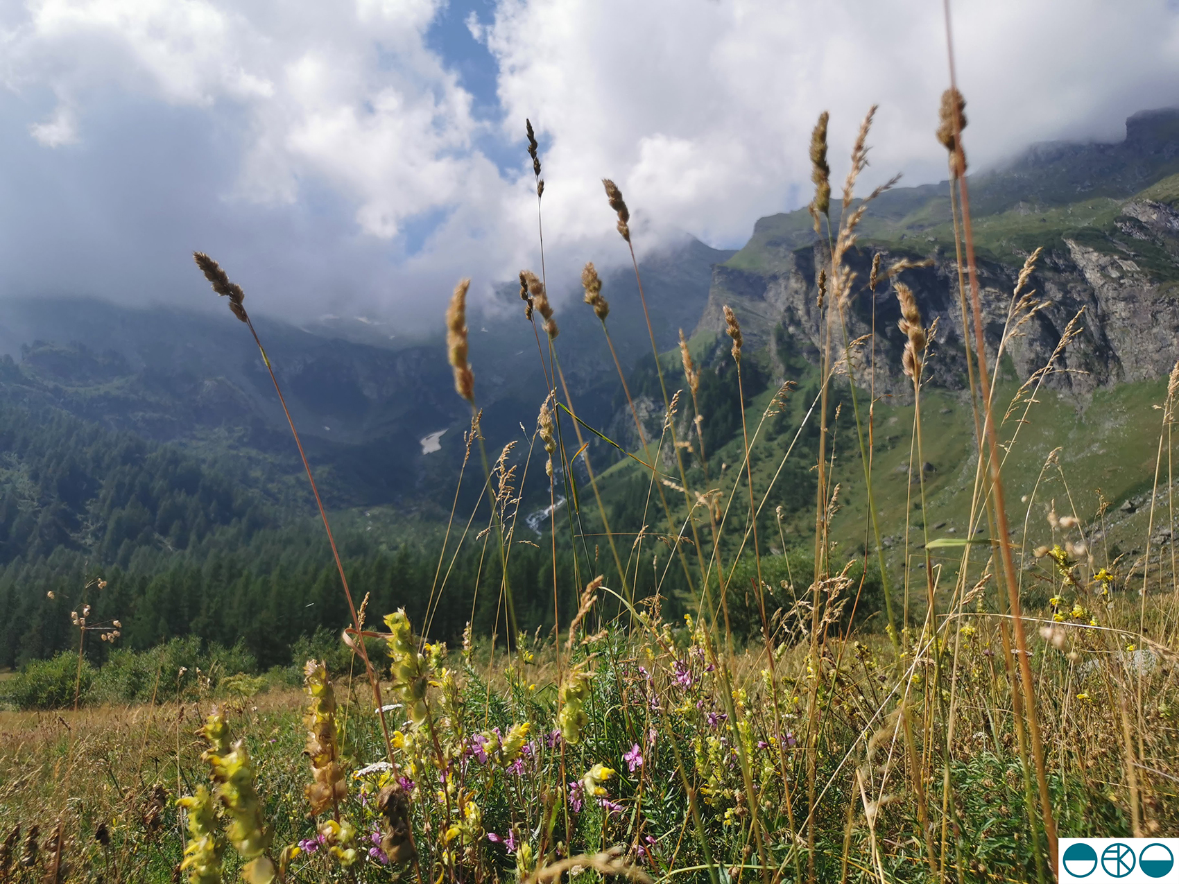 Colours from the Italian Alps | Kate Farley – drawn to design
